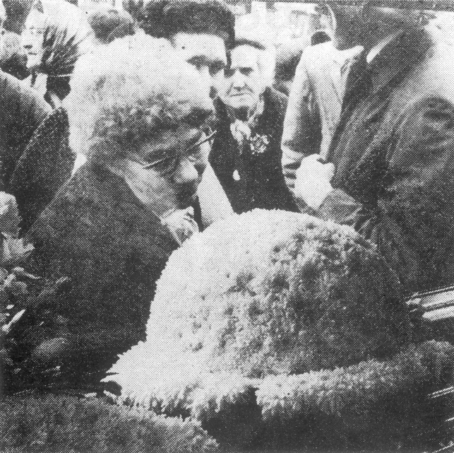 Who was Harry Cowley? - QueenSpark Books Archive